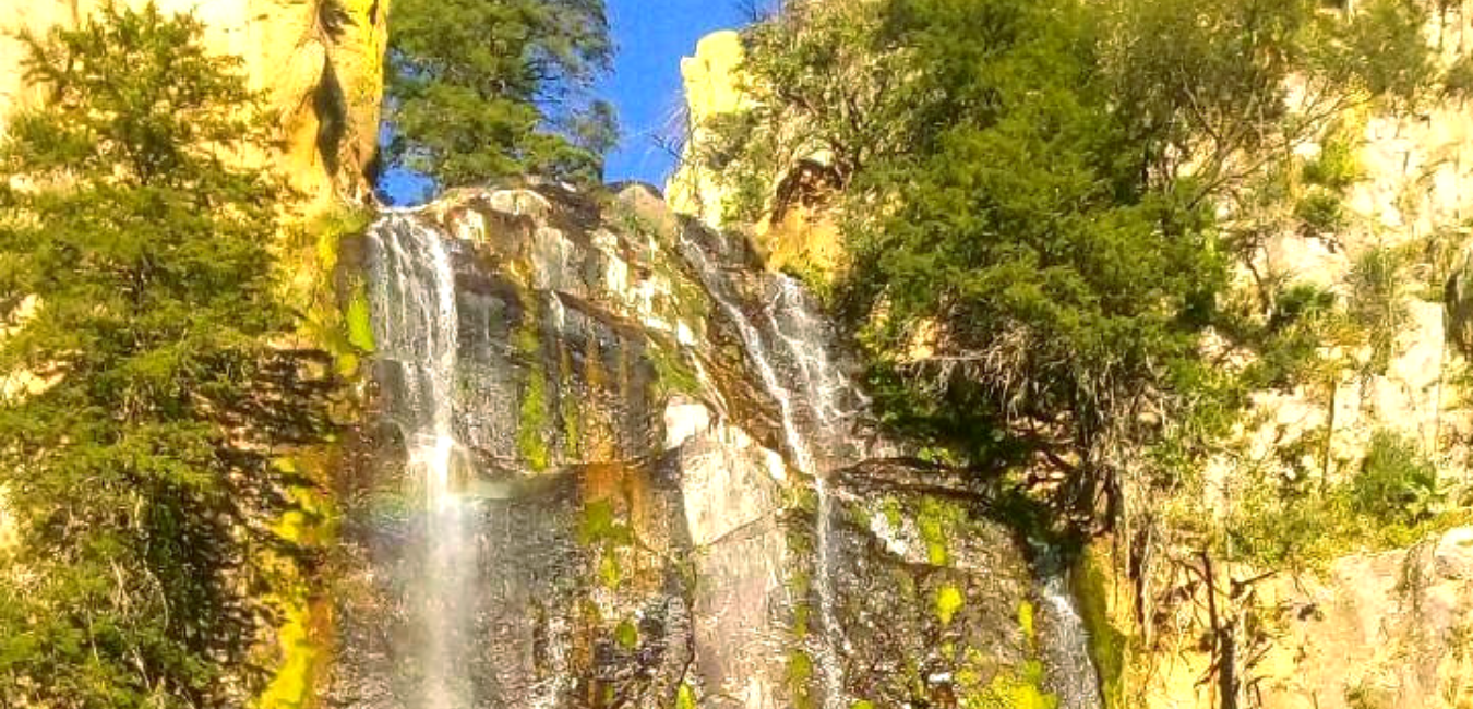Kokoyome, paraíso en Guachochi - Difusión Norte